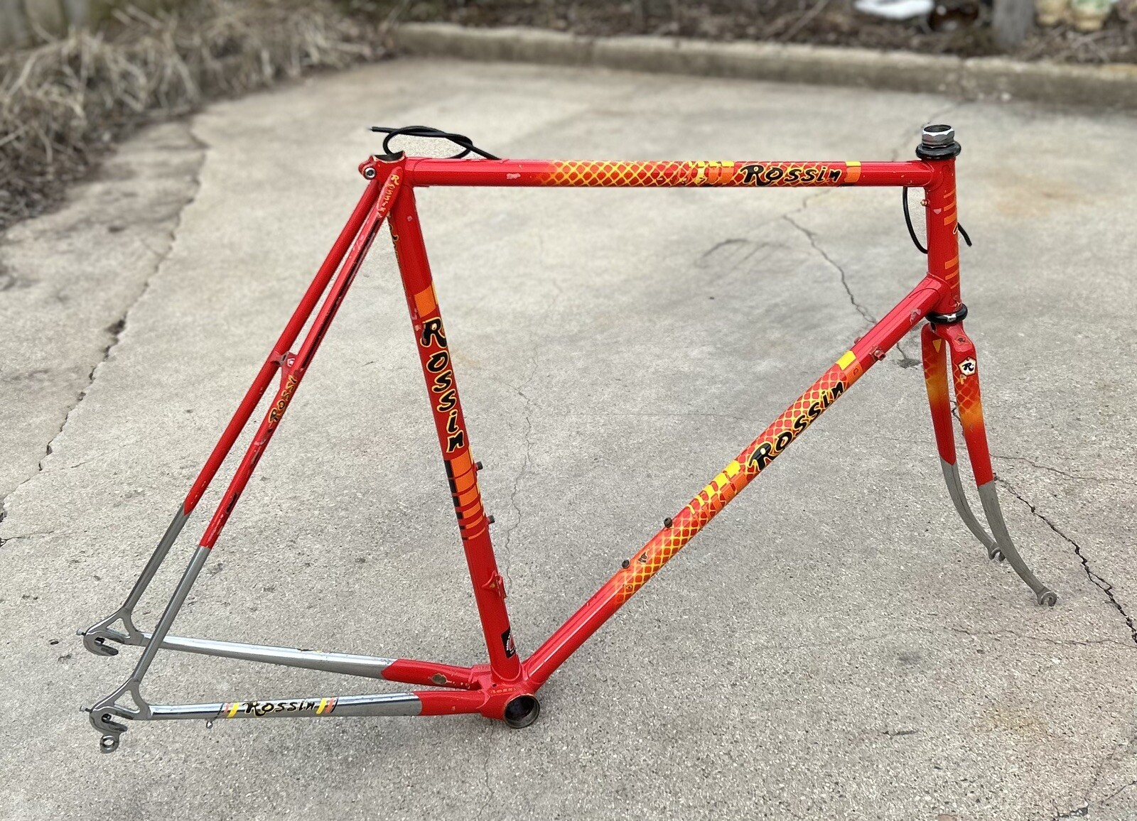 Columbus SPX Rossin Frameset Vintage Bike Lugged Frame Fork Pantograph ...