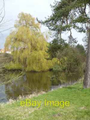 Photo 6x4 A willow tree by the water next to The Valance Lynsted c2008 ...