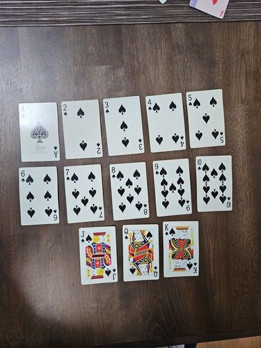 Vintage Starcraft Set Of 13 Ace To King Suit Of Spades Knight Back ...