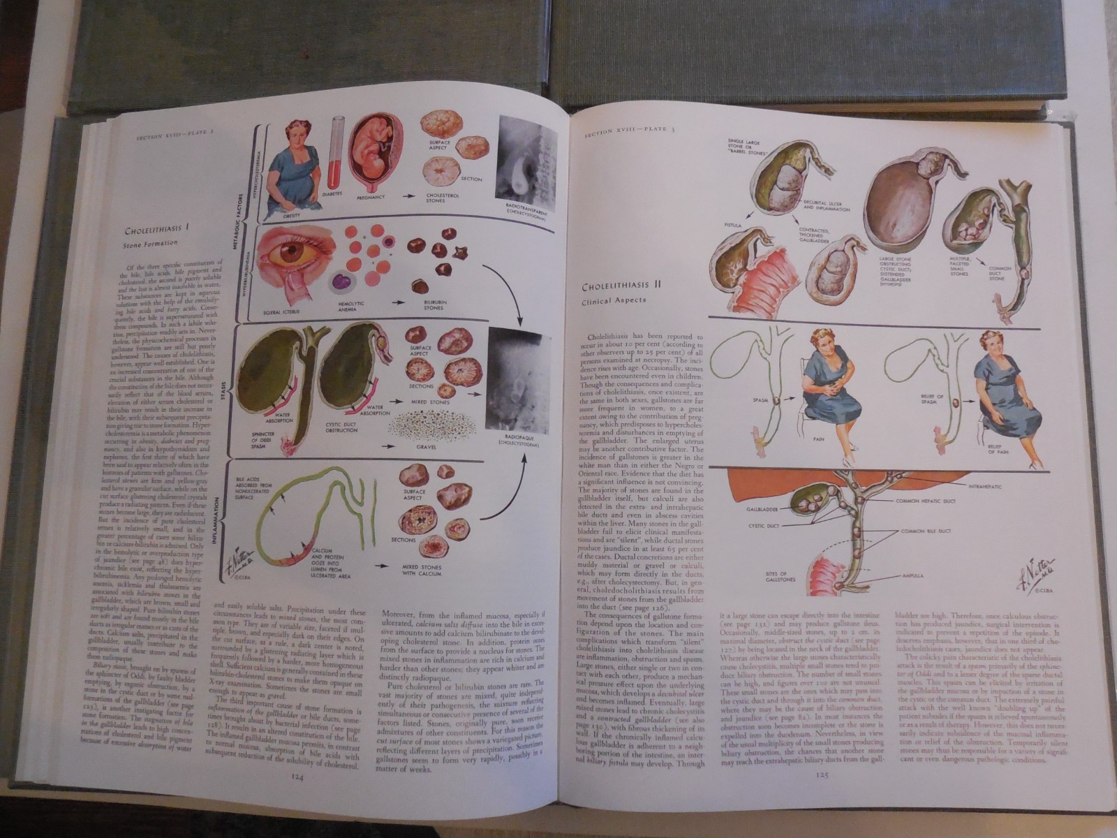 The CIBA Collection of Medical Illustrations 10-Volume Lot - HB - Frank ...