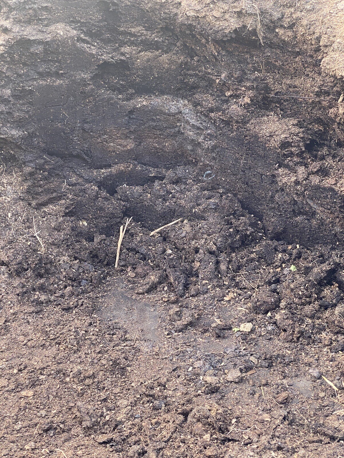 Well Rotted Horse Manure. compost soil improver Delivered | eBay UK