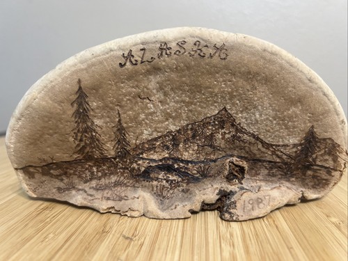 Carved Mountain Scene Folk Art Pyrography Fungus Conk Shelf Mushroom ...