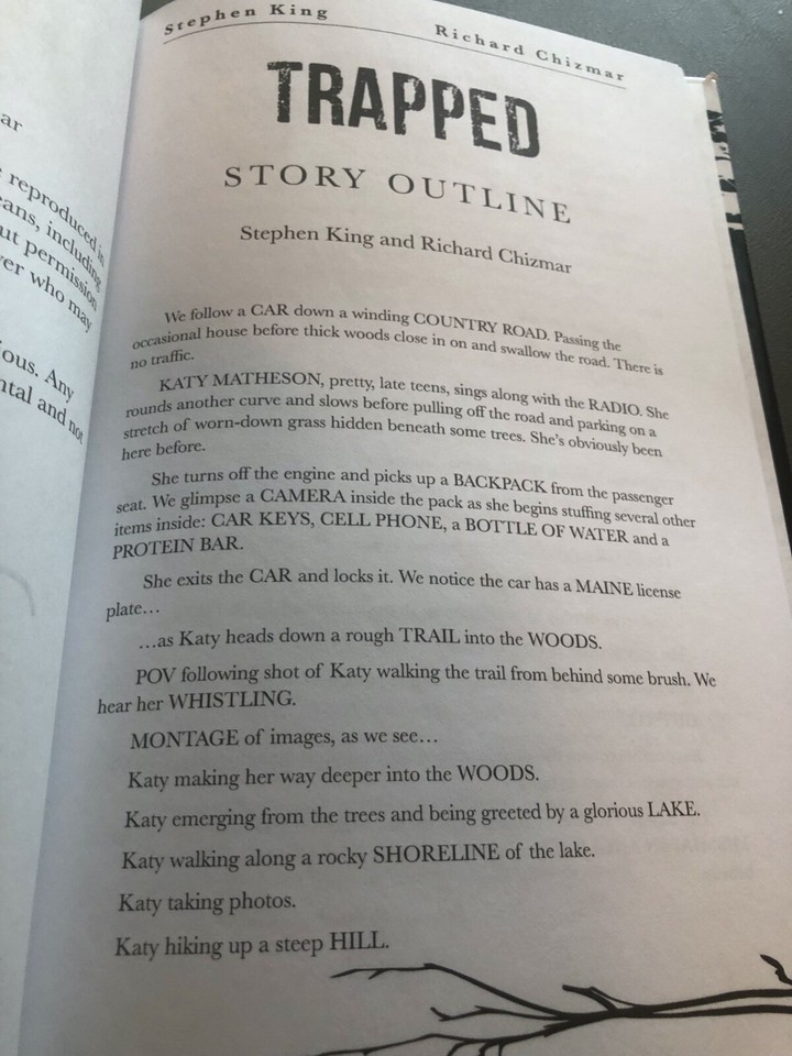 Trapped by Stephen King & Richard Chizmar Hardcover Edition LTD To 374 ...