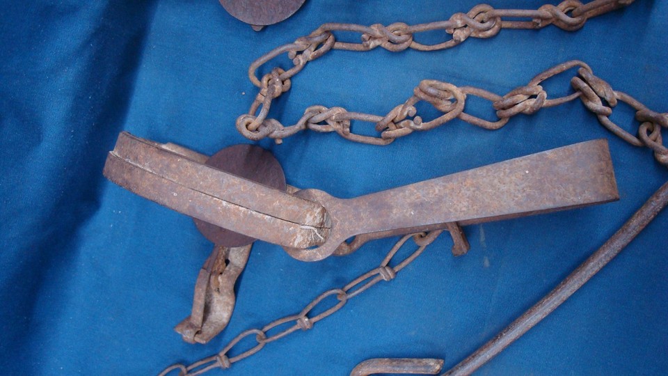 Vintage Lot of 3 Victor Number 1 1/2, 29 Oz Long,Spring Traps | eBay