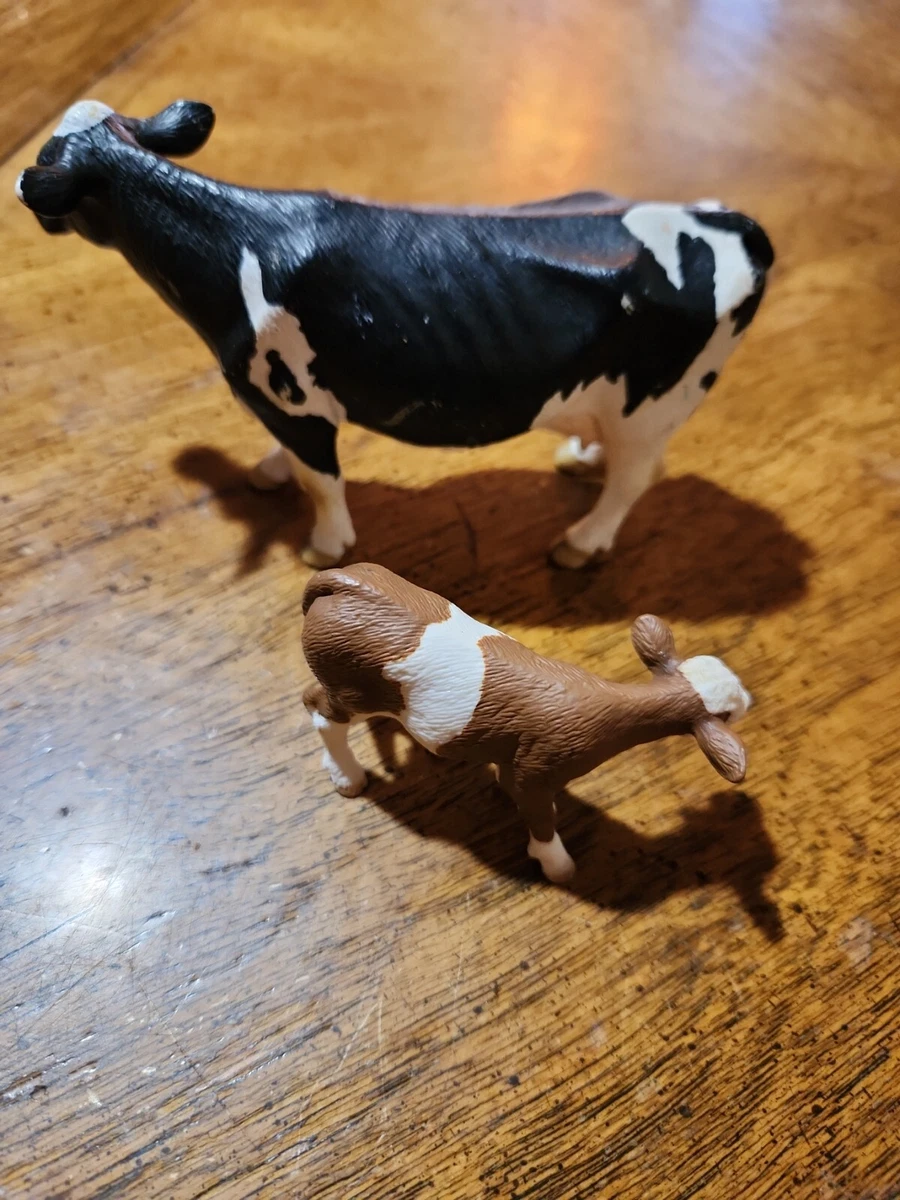 Holstein Calf With Mother