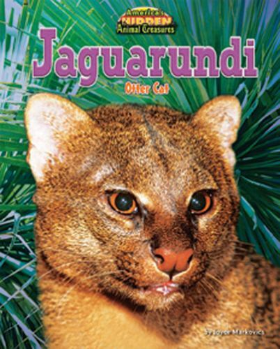 Jaguarundi: Otter Cat by Markovics, Joyce 9781617725791| eBay