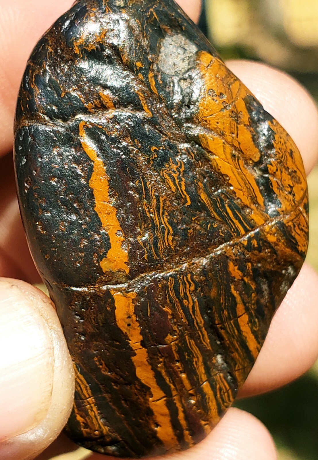K.16 Magnetic BANDED IRONstone JASPERITE Genesis magnetite WYOMING BIF ...