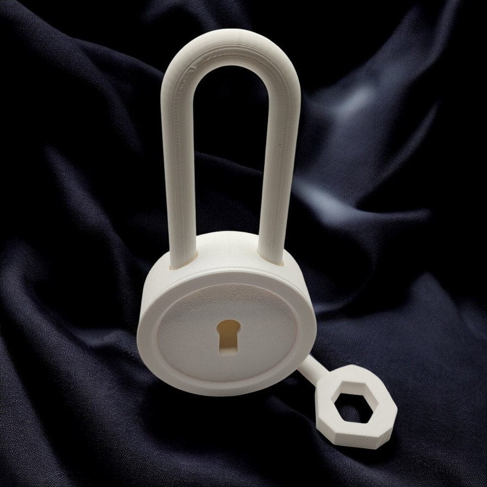 Hello Neighbor Toys - Single Lock and Key - Pretend Play | eBay