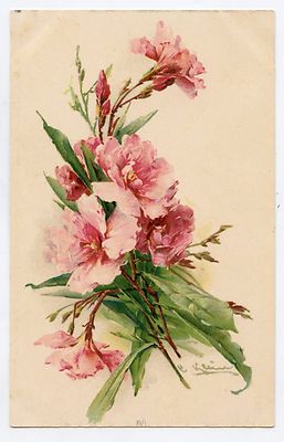 Calvin Klein.All Flowers. Flowers ( | eBay