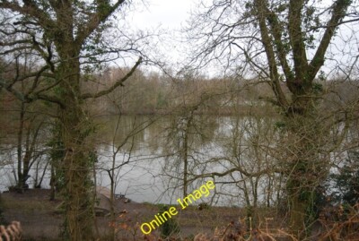 Photo 6x4 Lake, Lakeside Park Ash/SU8951 c2013 | eBay UK
