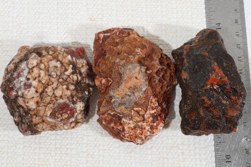 Morocco Agate lapidary 1 lb 3 oz Partial Nodule three piece rough lot # ...