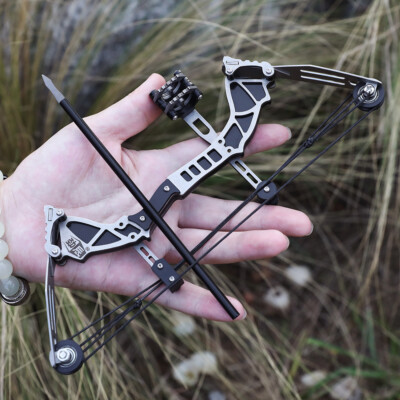 9.5" Mini Compound Bow Arrows Kit Target Shoot Game Pocket Bow Archery ...