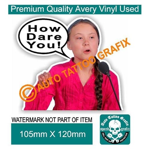Greta Thunberg How Dare You Decal Sticker Climate Change Window Funny ...