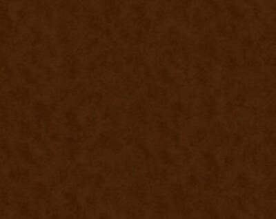 Quilting Essentials "Brown"-Quilting Treasures-BTY | eBay