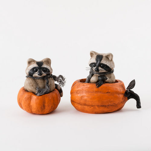 EM0677 St/2 7" Rascal Raccoon in Pumpkin Halloween Table Decoration ...