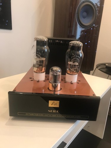 Audio Note Neiro Monoblocks | eBay