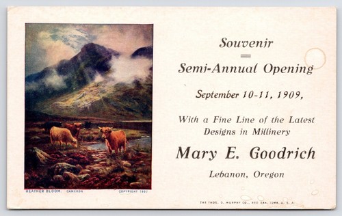 Lebanon Oregon~Mary E Goodrich Millinery Fall Show~Heather Bloom by ...