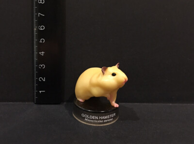 Kaiyodo Hamster's Lunch Golden Hamster Figure B | eBay