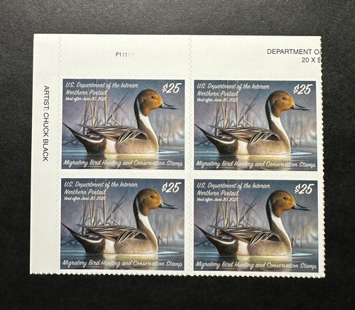 WTDstamps - #RW91 2024 - Federal Duck Stamp - Mint OG NH **Upper Left ...