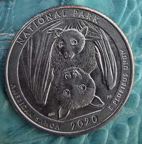 2020 Bat Quarter coin Mint Mark P RARE Pandemic | eBay