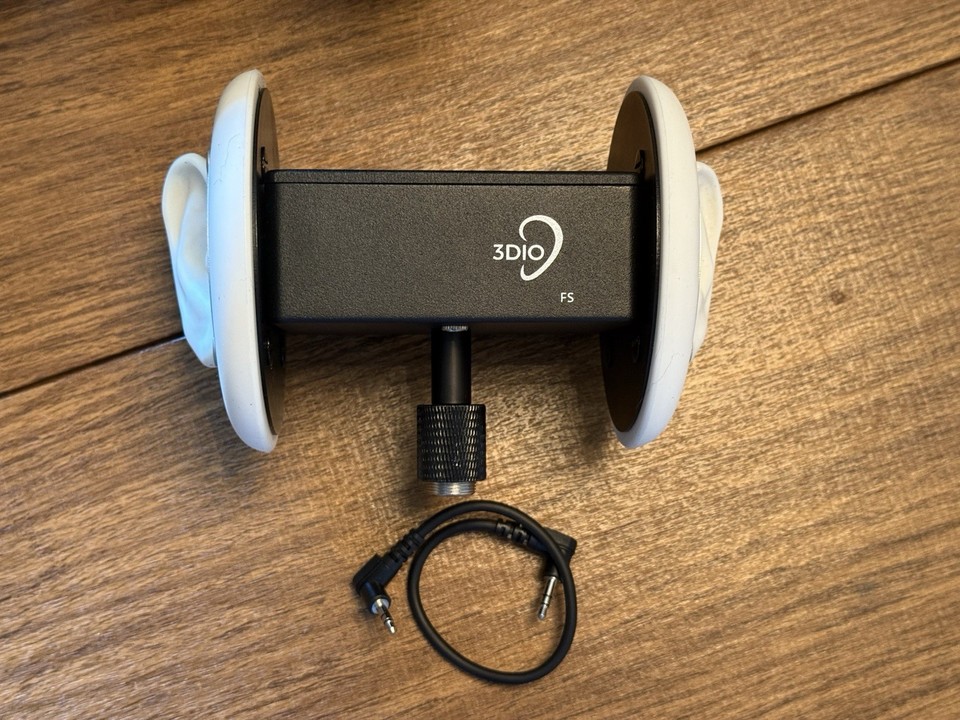 3Dio FS Free Space Binaural Microphone (NO CASE KEY) | eBay