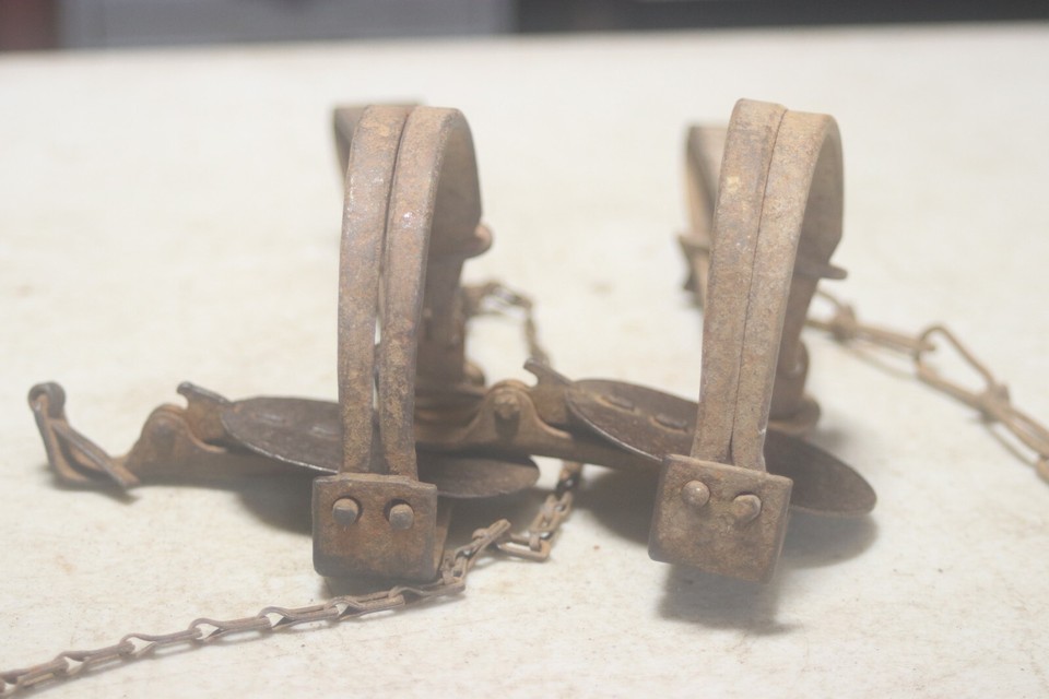 Lot of 2 Triumph High Grip 115 Long Spring Traps | eBay