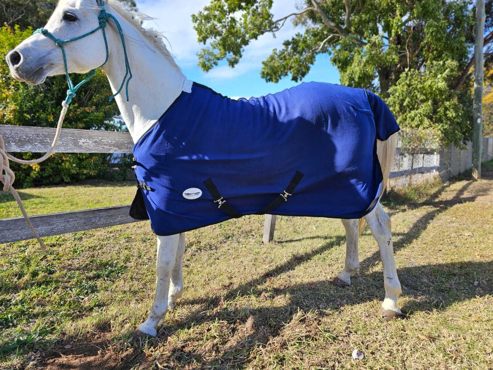 Rug Only - Warm Fleece 330gsm Polar Fleece Horse rug - Blue | eBay ...