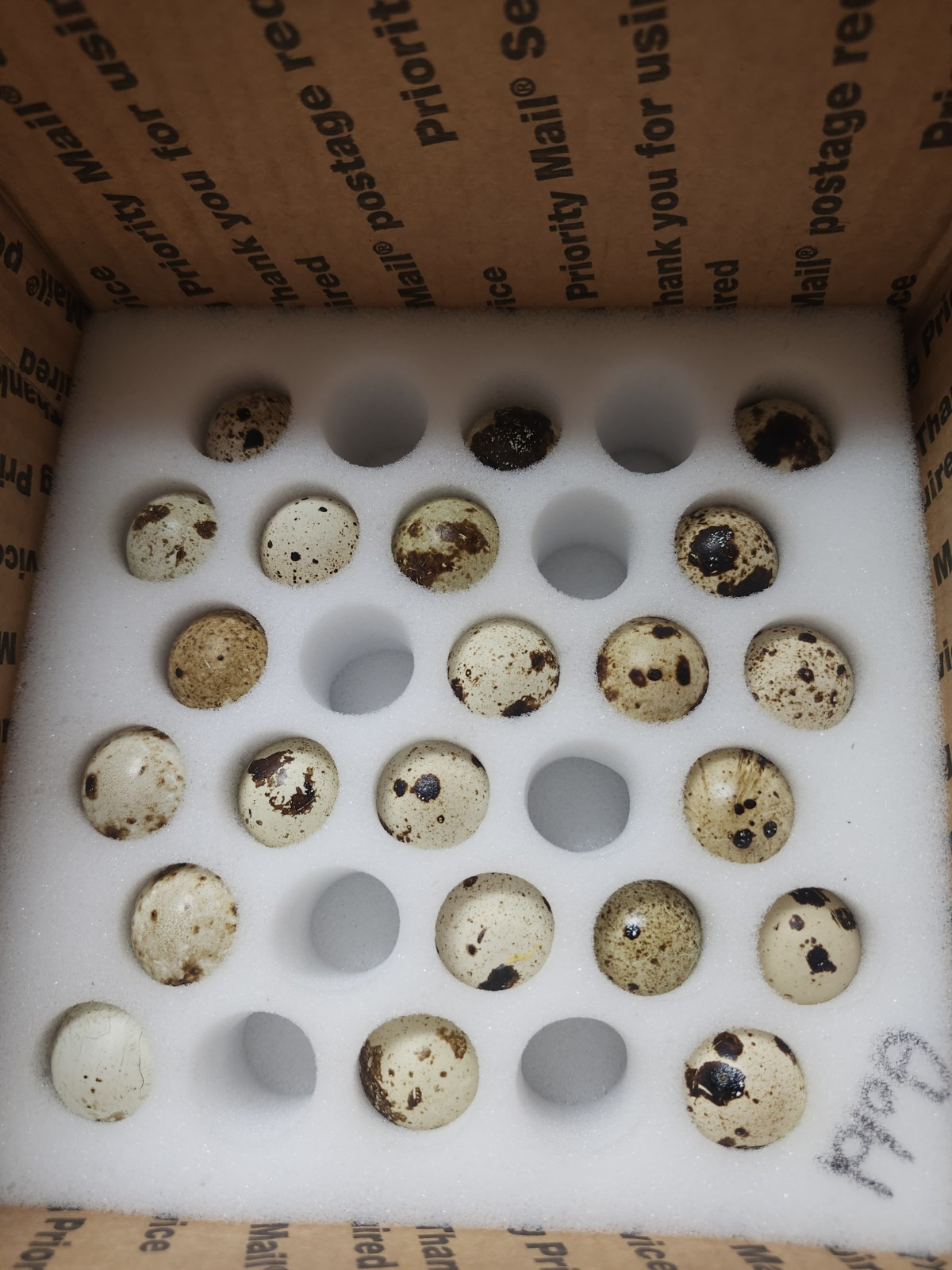 The Quail Barn | eBay Stores