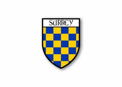 Sticker county shield car vinyl souvenir decal flag caravan crest ...