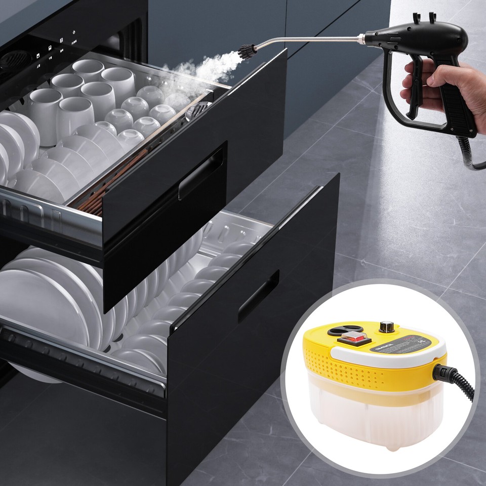 2500W Car Steamer for Auto Detailing High Pressure Handheld Steam ...