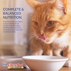 4 Box INABA Churu Meal Chowder Adult Wet Cat Food, 2.29 oz cup, 12count ...