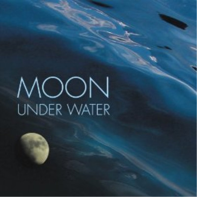 Andrew Hagger Moon Under Water-Andrew Hagger-V/A CD NEW | eBay
