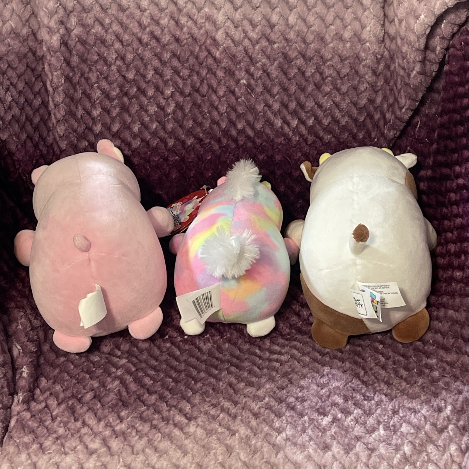 Squishmallow Phoenix the Unicorn Hugmee 7” Kellytoy Plush for sale ...