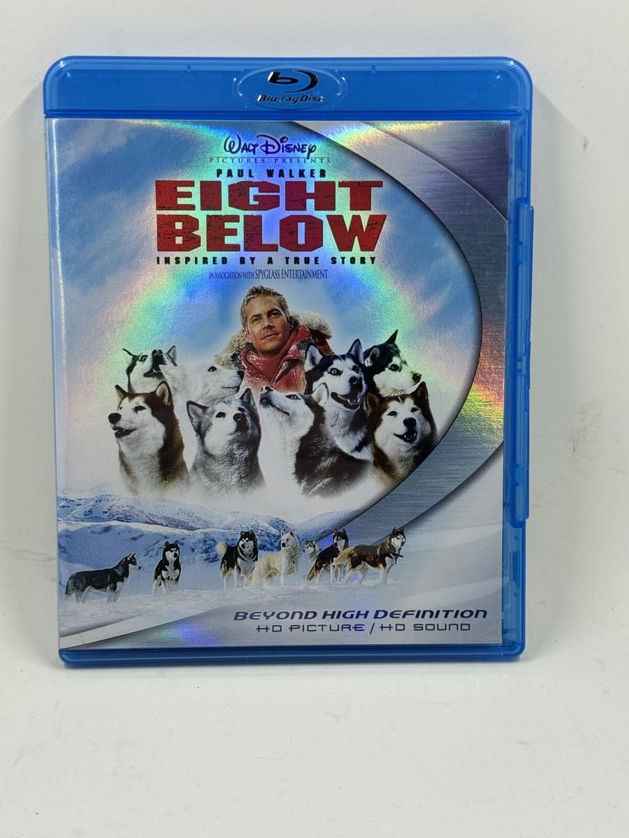Eight Below Cast