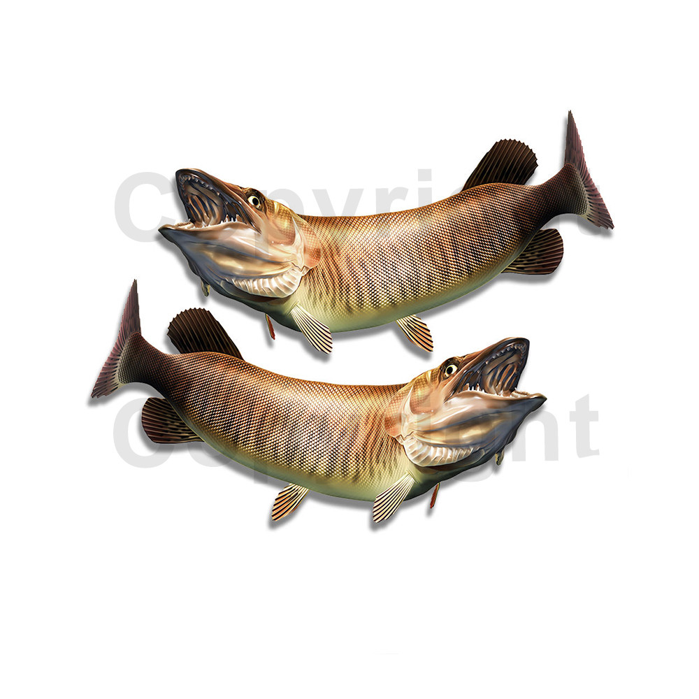 Tiger Musky Sticker Decal Fishing RV Boat Car Truck Camper Trailer F089 ...