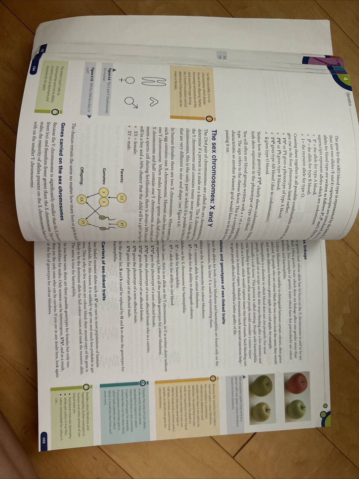Pearson Baccalaureate : Standard Level Biology for the IB Diploma by ...