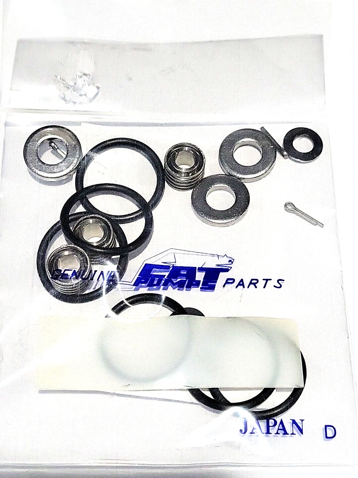 Cat Pump 34668 Inlet Valve Kit 2SF,2SFX20ES, 2SFX30ES,2SFX30GS ...
