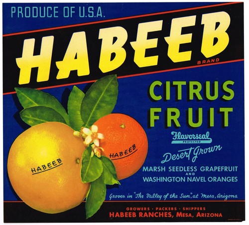 ORIGINAL ARIZONA RARE CITRUS CRATE LABEL C1950 MESA HABEEB ORANGE ...