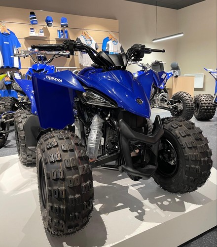 Raptor Quad Bike