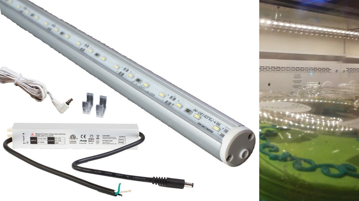 Led Lights For Walk In Freezers Refrigerator Wikipedia