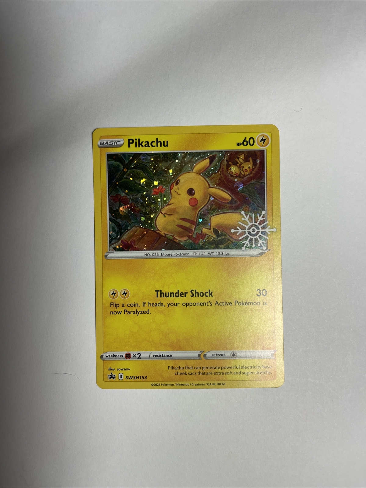 Pokémon TCG Pikachu Pokemon Promos SWSH153 Holo Promo for sale online ...