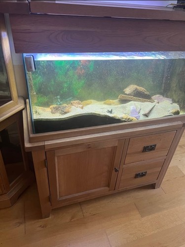 Solid Oak Aquarium Fish Tank with Cabinet Stand | eBay UK