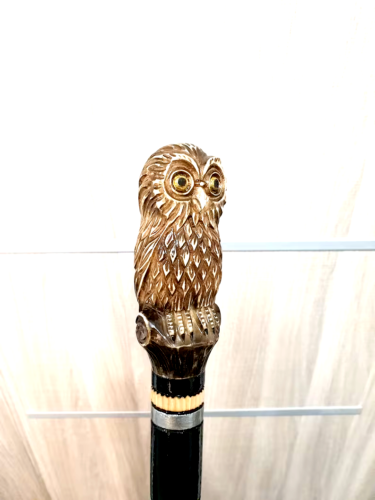 Owl walking stick Handmade wood carved owl walking cane, owl lover ...