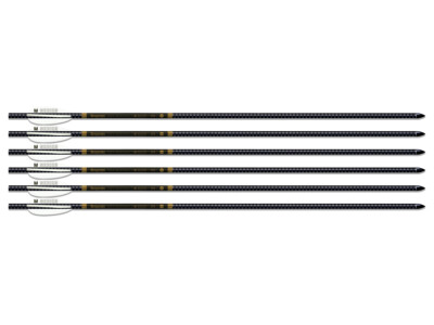 Benjamin M Series M600 Airbow Arrows, 6 pack | eBay