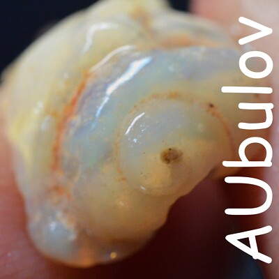 Coober Pedy Rough Opal Snail Shell + a Little Colour 9.50 Carats | eBay