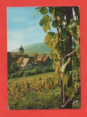 Riquewihr - View General (J8995) | eBay UK