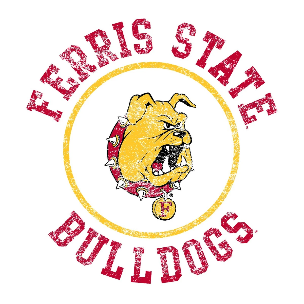 Ferris State University Bulldog