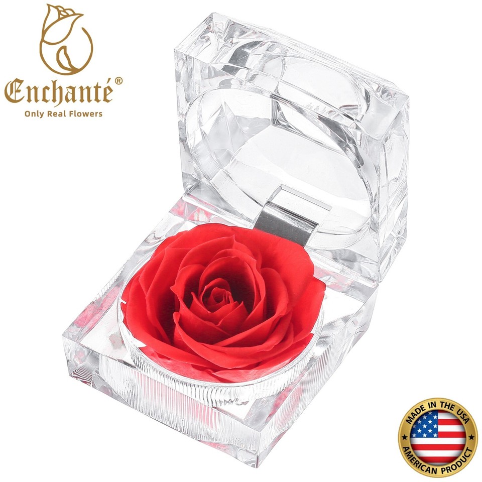 REAL Preserved Eternity Forever Rose Ring Box Proposal Valentine's Day ...