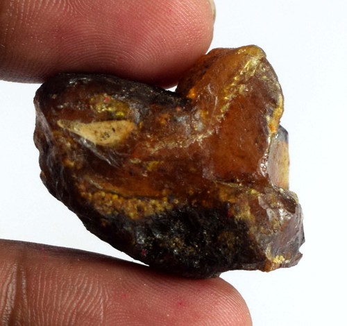 30.25 Ct Natural Orangish Red Baltic Amber Gemstone Rough Certified ...