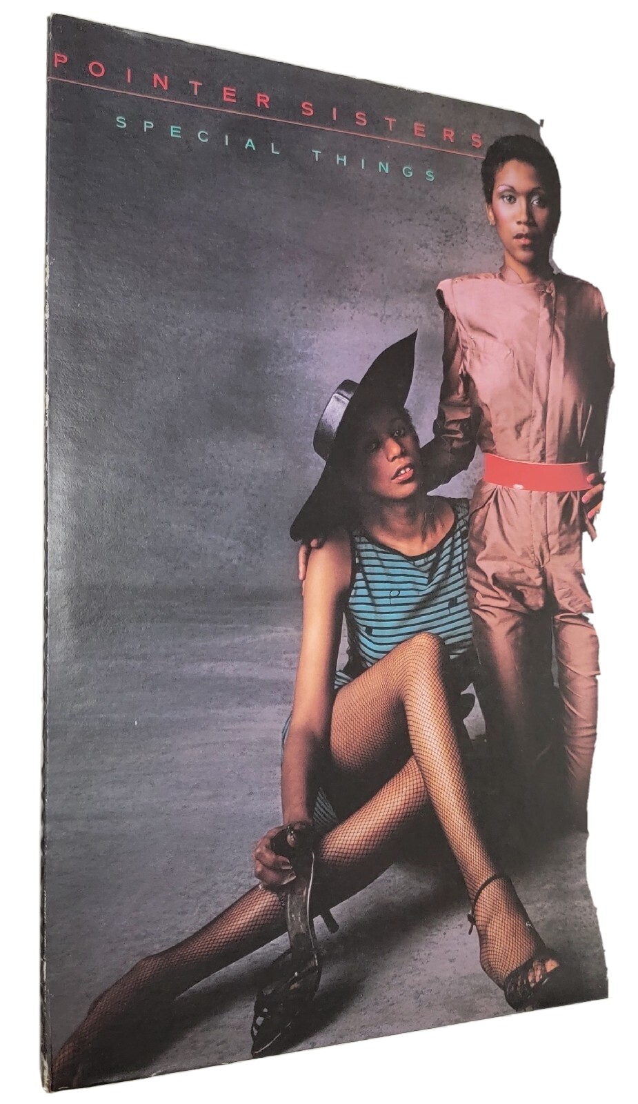 THE POINTER SISTERS SPECIAL THINGS LP PLANET LP AYL1-5088 US 1980 VG++ 0H | eBay